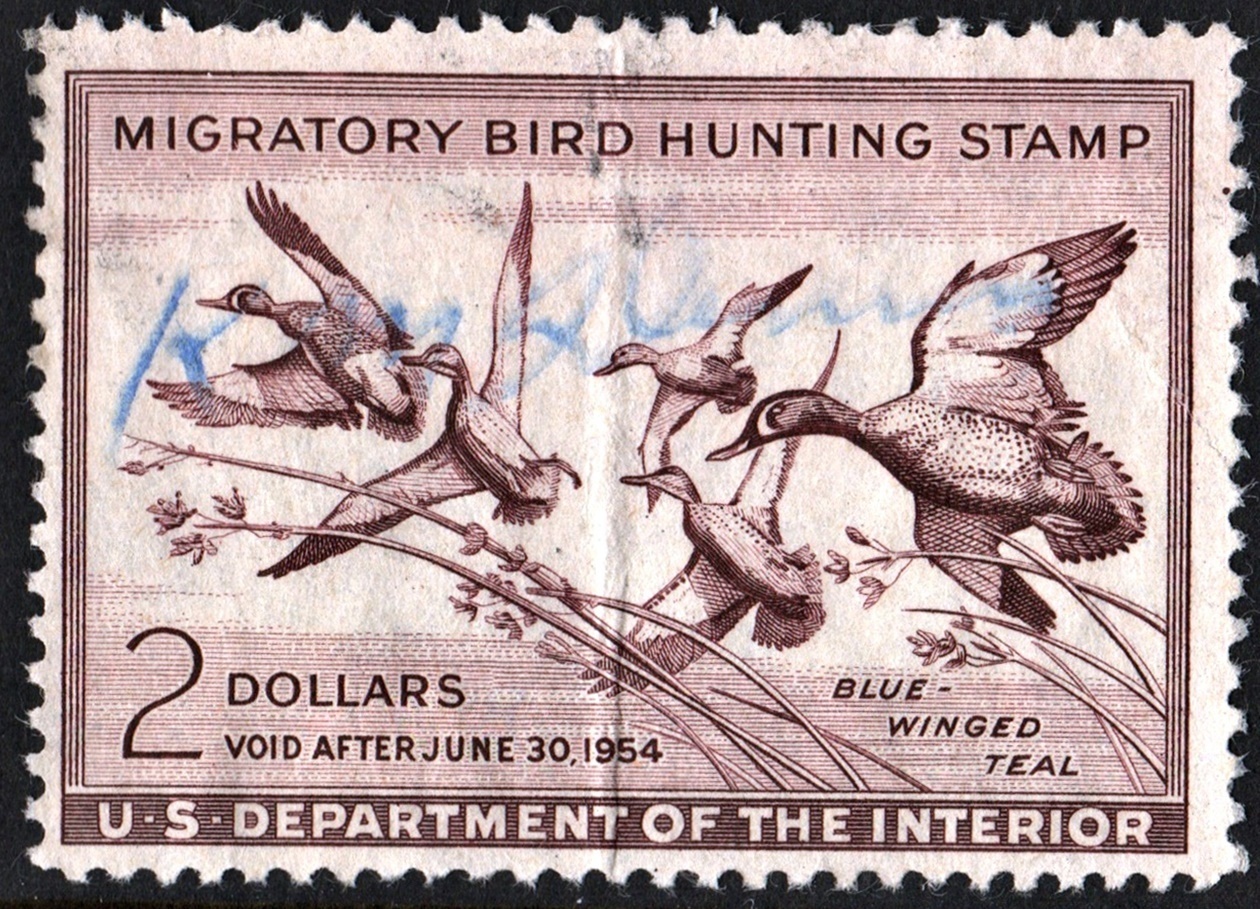 RW20 $2 Blue-Winged Teal Duck Stamp (1953) Signed | United States, Duck ...