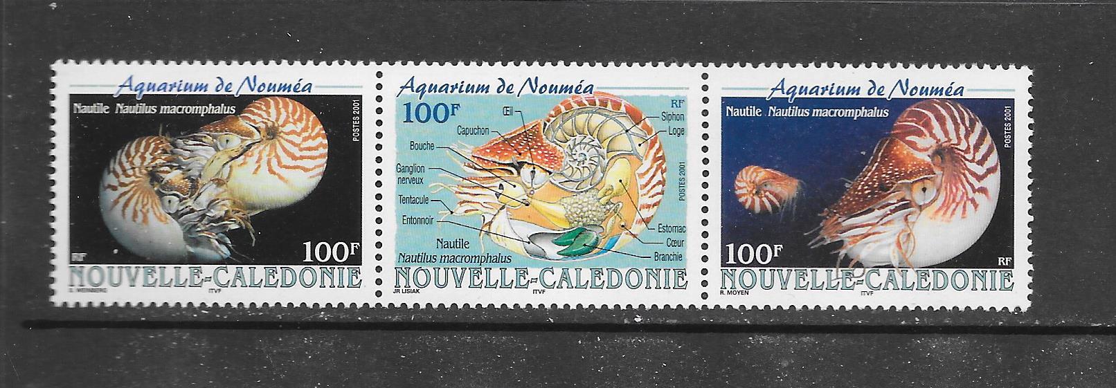 Shells - New Caledonia #872 Nautilus MNH | Australia & Oceania - New ...