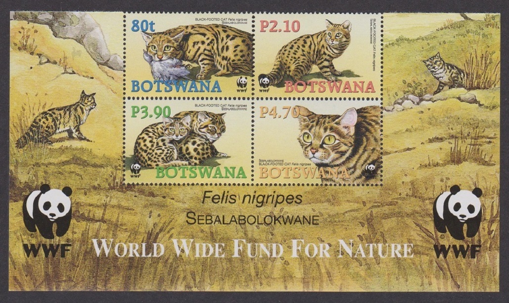 Botswana WWF Black-footed Cat 4v Block of 4 WWF Logo 2005 MNH SC#806 ...