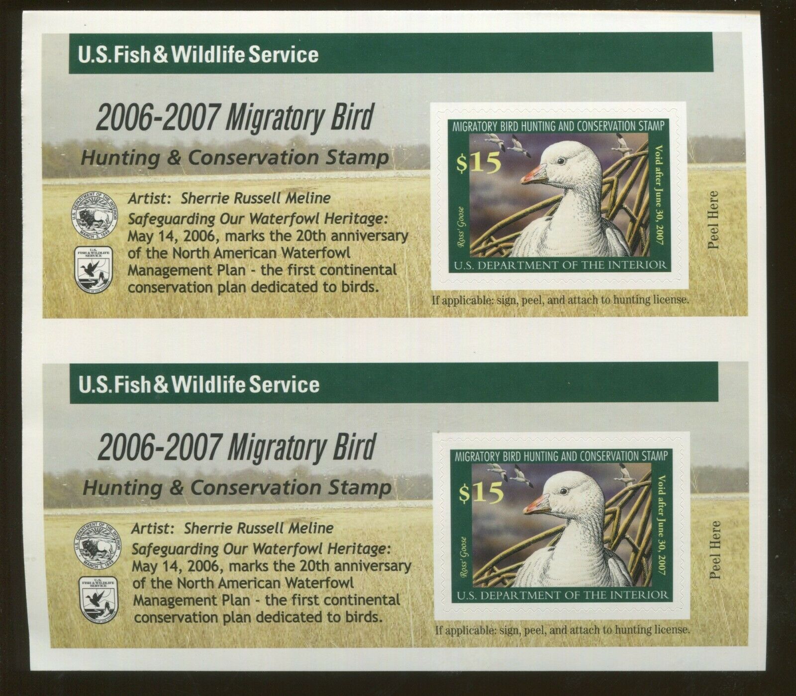 2006 US Migratory Bird Hunting Federal Duck Stamp #RW73A Mint Rare Pair ...