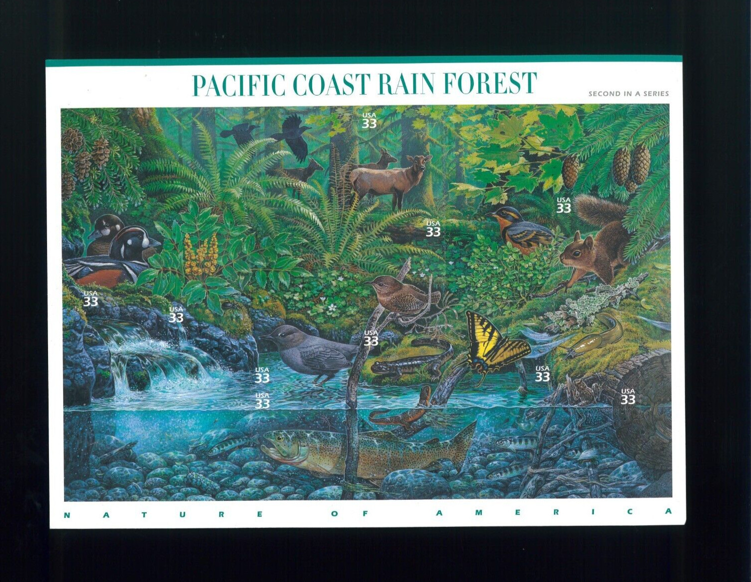 United States 33¢ Pacific Coast Rain Forest Postage Stamps #3378 MNH ...