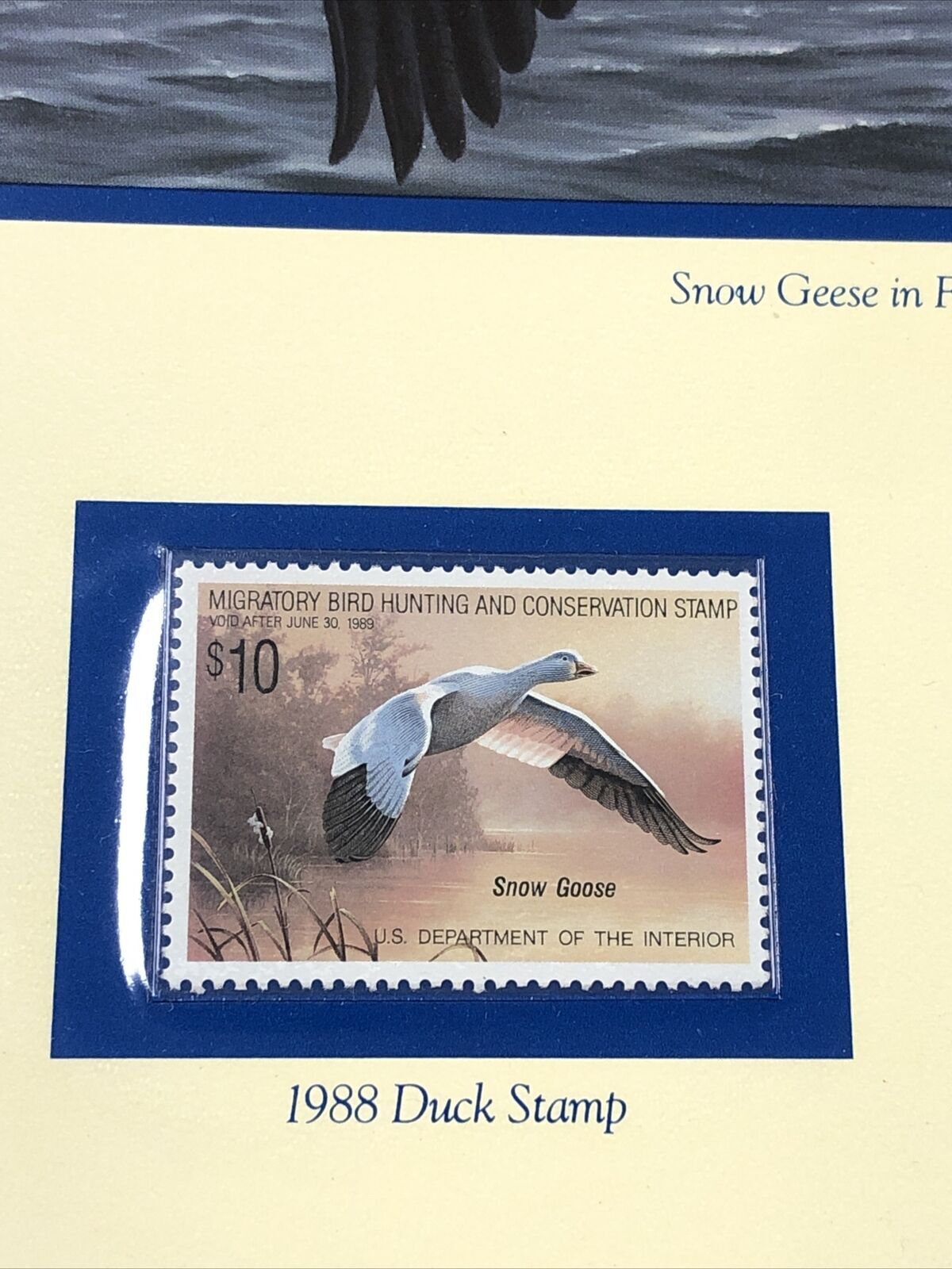 1988 Duck Stamp First Day of Issue Folio with Mint Duck Stamp | United ...