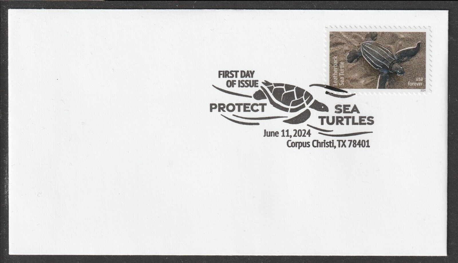 US 5865-5870 Protect Sea Turtles (set of 6) BWP FDC 2024 | United ...