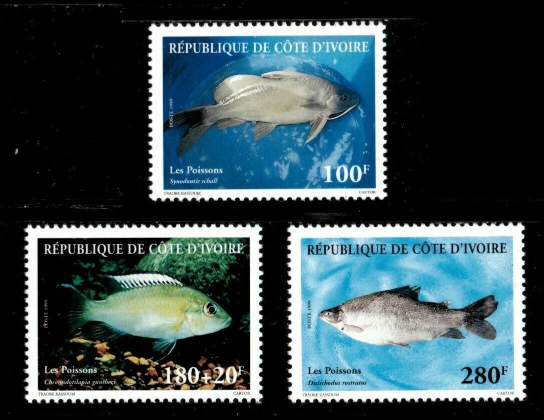 Ivory Coast 1999 - Fish, Marine Life, Catfish - Set of 3v - Scott 1048 ...