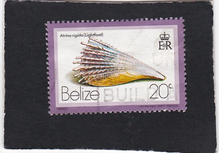 Belize #478 used | Central & South America - Belize, General Issue ...