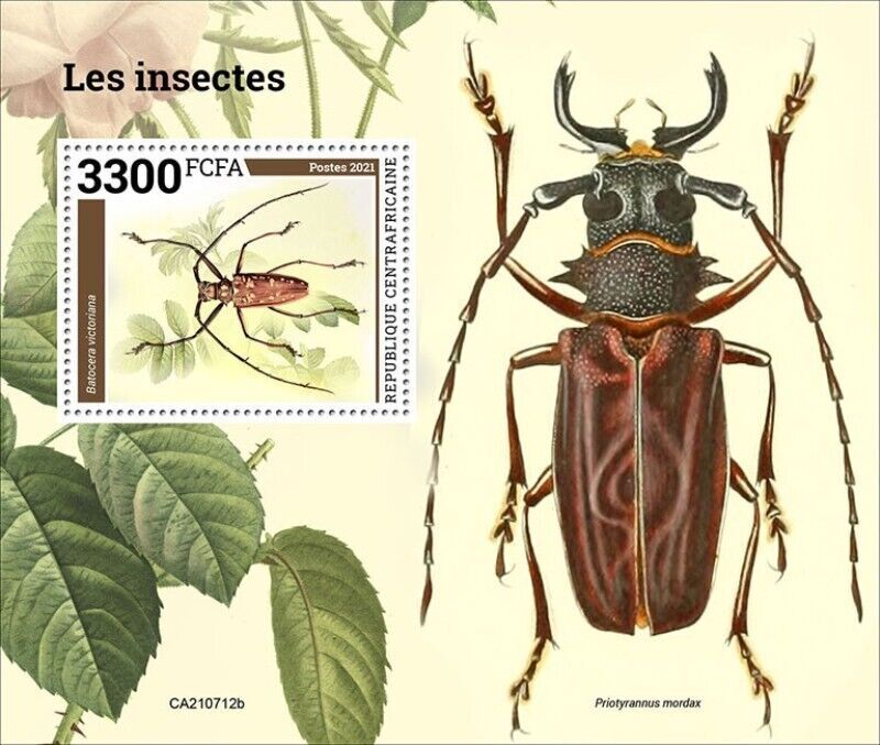 Central Africa 2021 Insects Batocera Beetle Stamp Souvenir Sheet ...