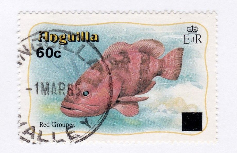 Anguilla 580 used | Caribbean - Anguilla, General Issue Stamp / HipStamp