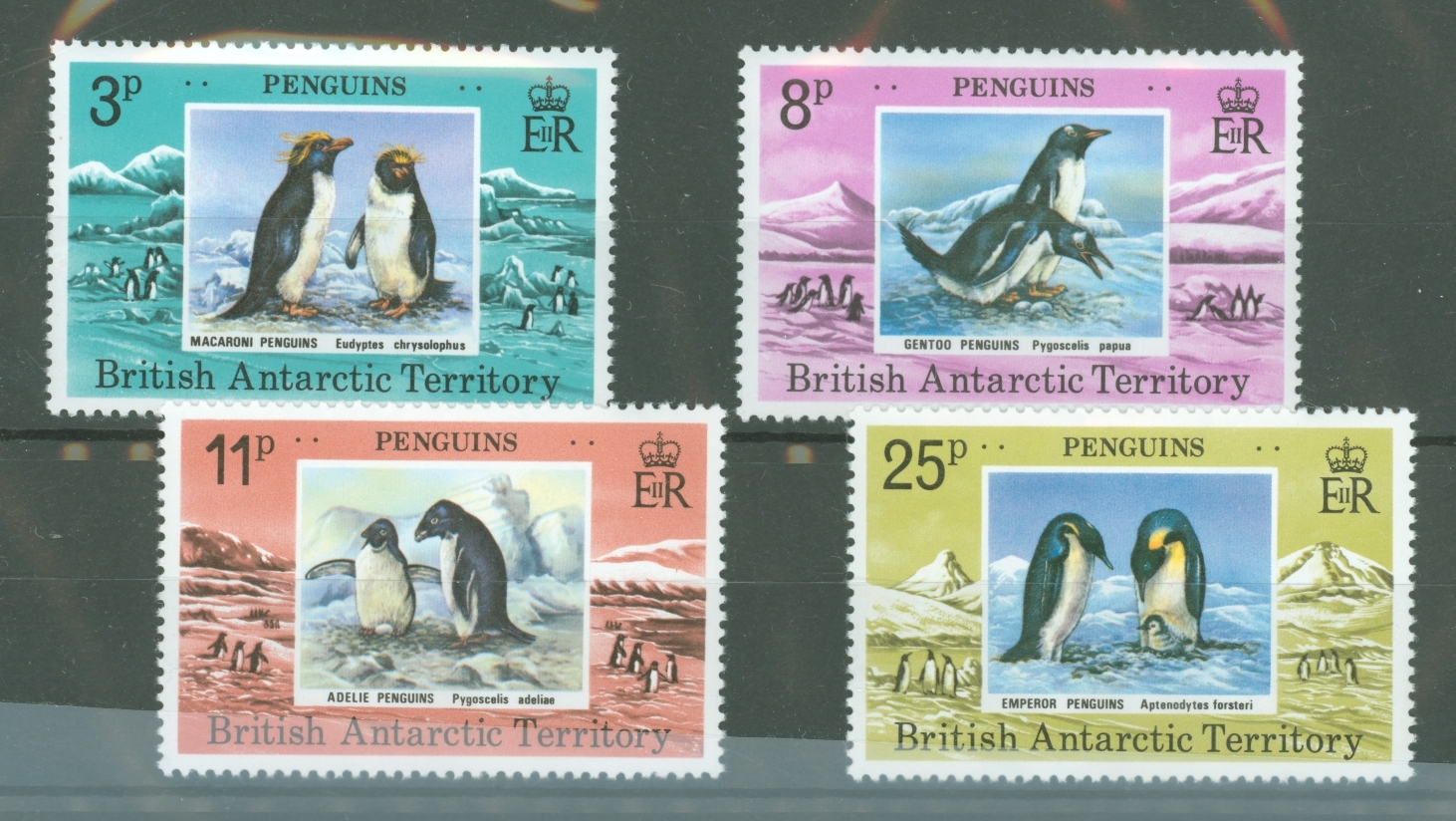 British Antarctic Territory #72-75 Single (Complete Set) (Fauna ...