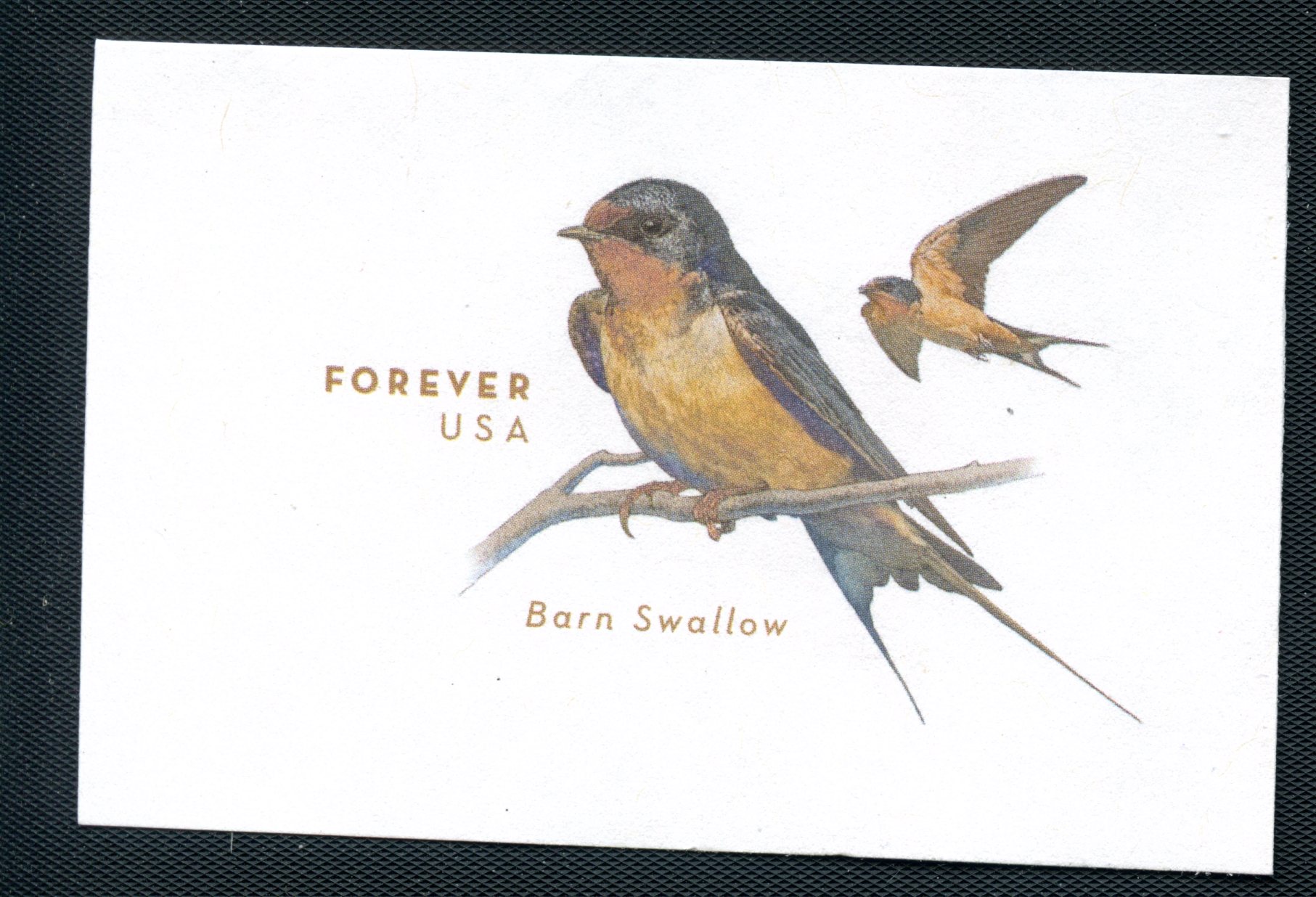 US Scott's # U696 Forever - Barn Swallow - Cut Square - Unused - NH ...