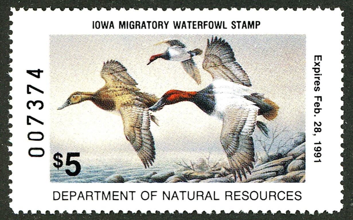 U.S. #Iowa State Duck Stamp Mint Ngai | United States, Stamp / HipStamp