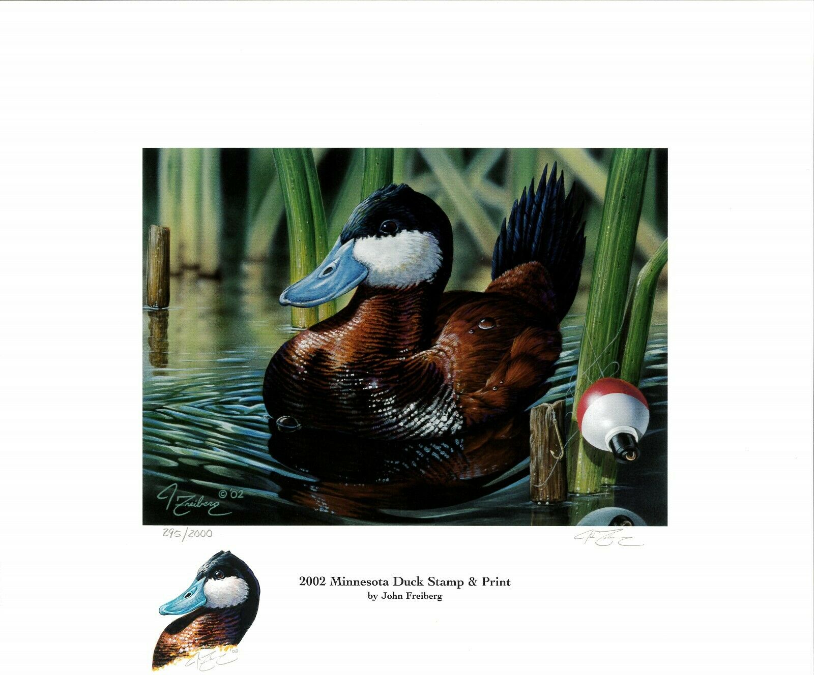 MINNESOTA #26 2003 DUCK STAMP PRINT by John Freiberg color remarque + 2 ...