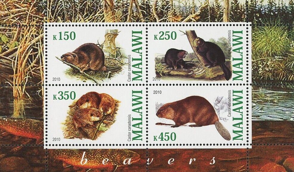 Beavers Stamp Wild Animal Castor Canadensis Souvenir Sheet of 4 Stamps ...