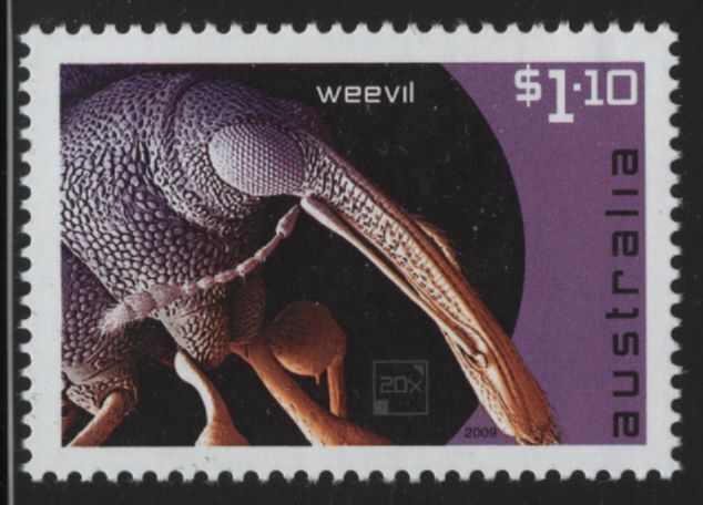 Australia 2009 MNH Sc 3119 $1.10 Weevil | Australia & Oceania ...