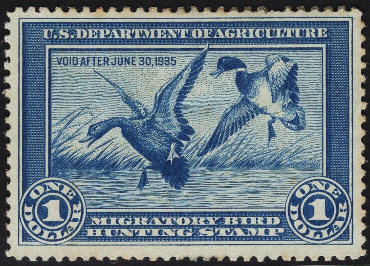 US #RW1 $1 Blue Duck Stamp MINT NO GUM SCV $175.00 | United States ...