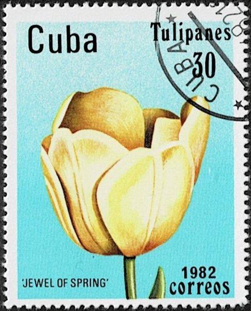 1982 Cuba Scott Catalog Number 2498 Used | Caribbean - Cuba, General ...