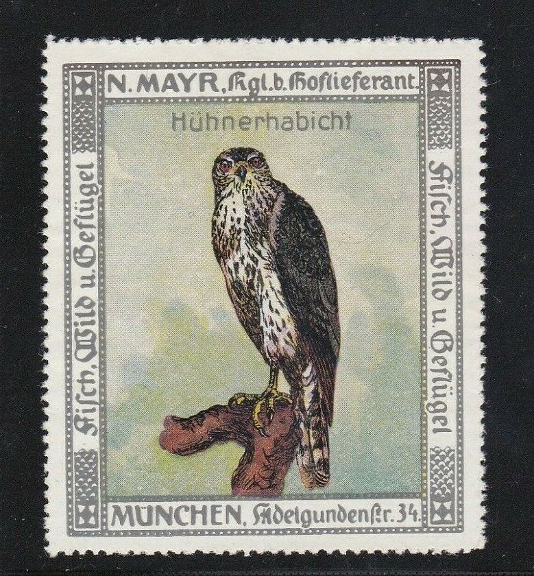 Germany Bird Poster Stamp Mayr Munich - Early 1900's - Chicken Hawk ...