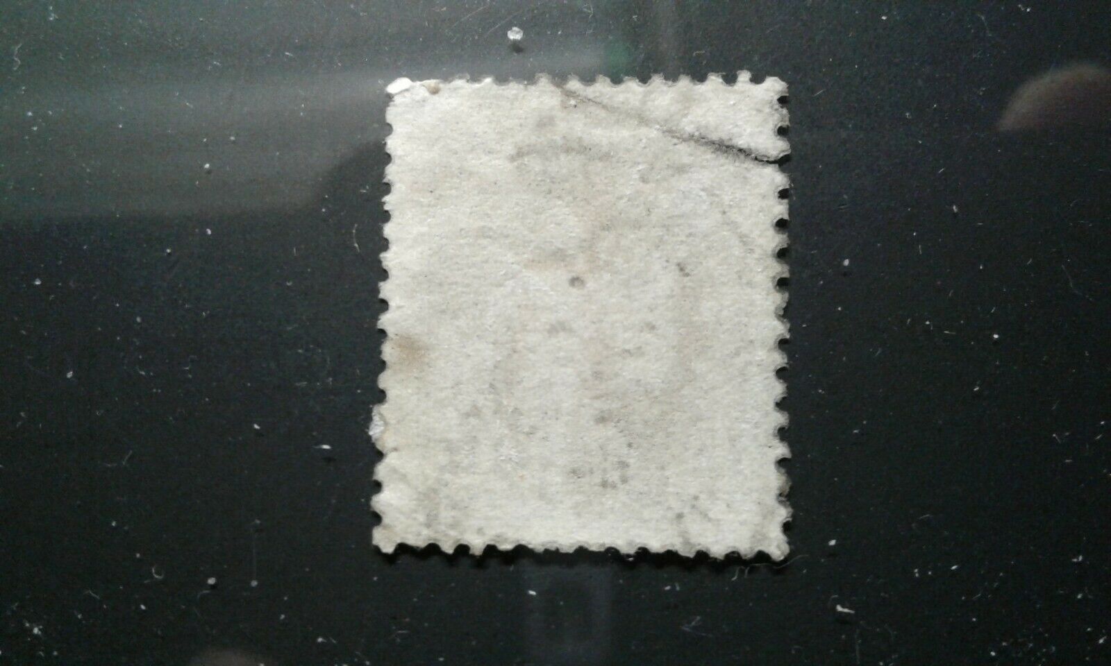 Monaco #6 used tear e203 7350 | Europe - Monaco, General Issue Stamp ...