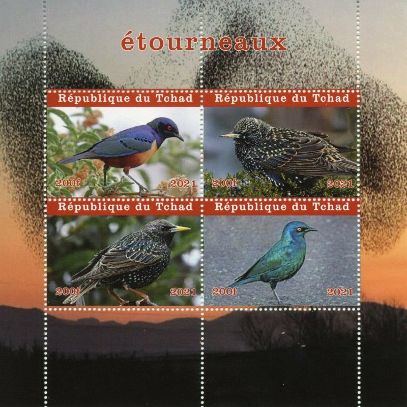 Chad Birds on Stamps 2021 MNH Starlings Starling 4v M/S | Africa - Chad ...
