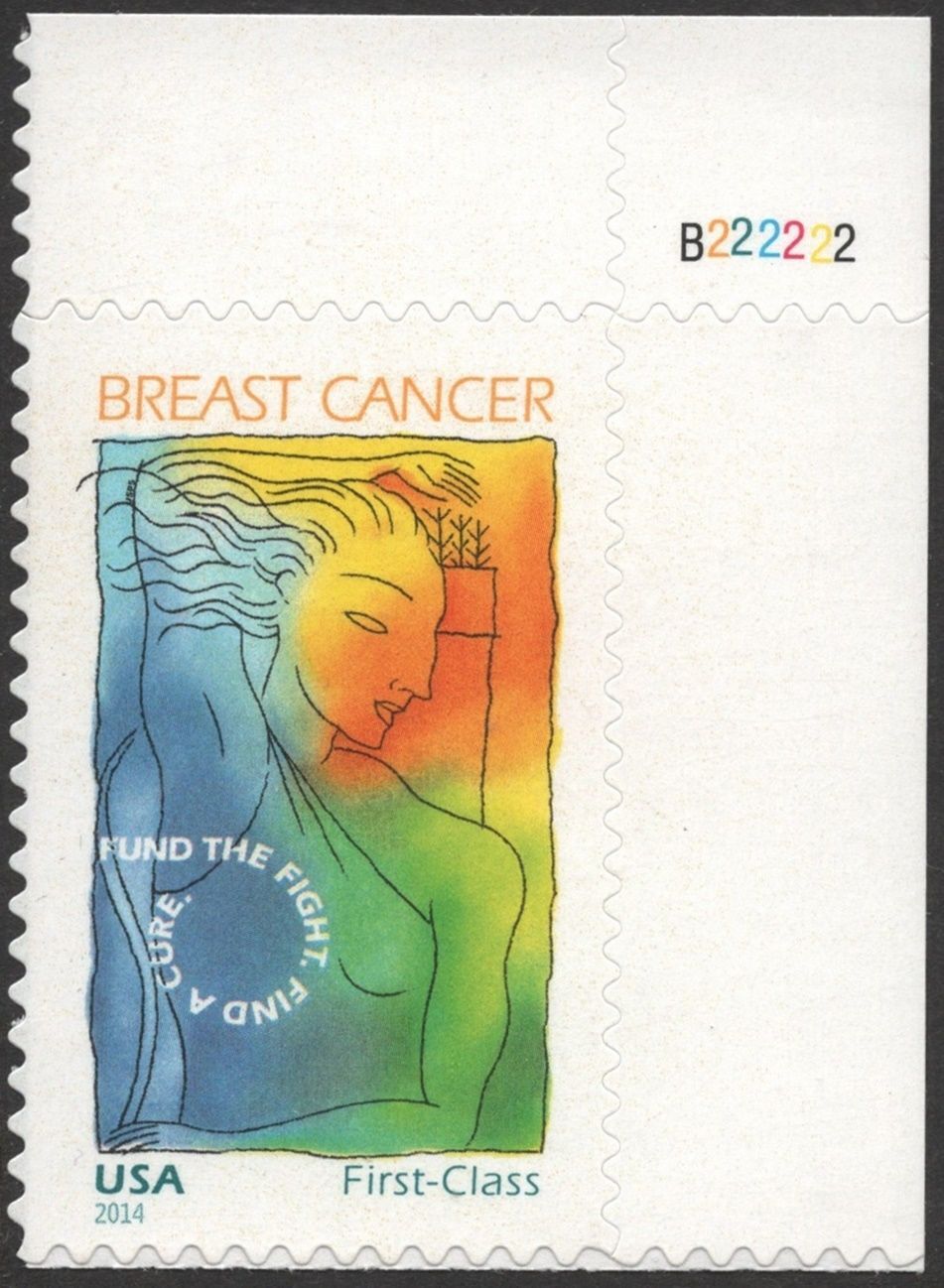 SC#B5 (First Class Rate) Breast Cancer Awareness Plate Single (2014) SA ...