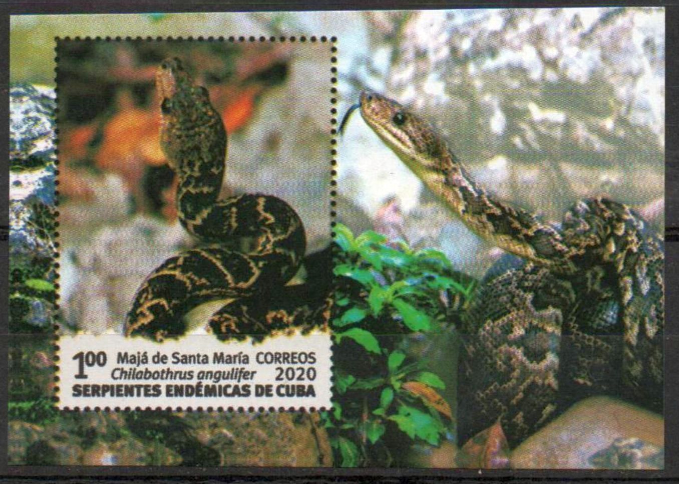 CUBA NEW! 2020 SNAKES SNAKES SNAKES Souvenir Sheet 2020 MNH | Caribbean ...