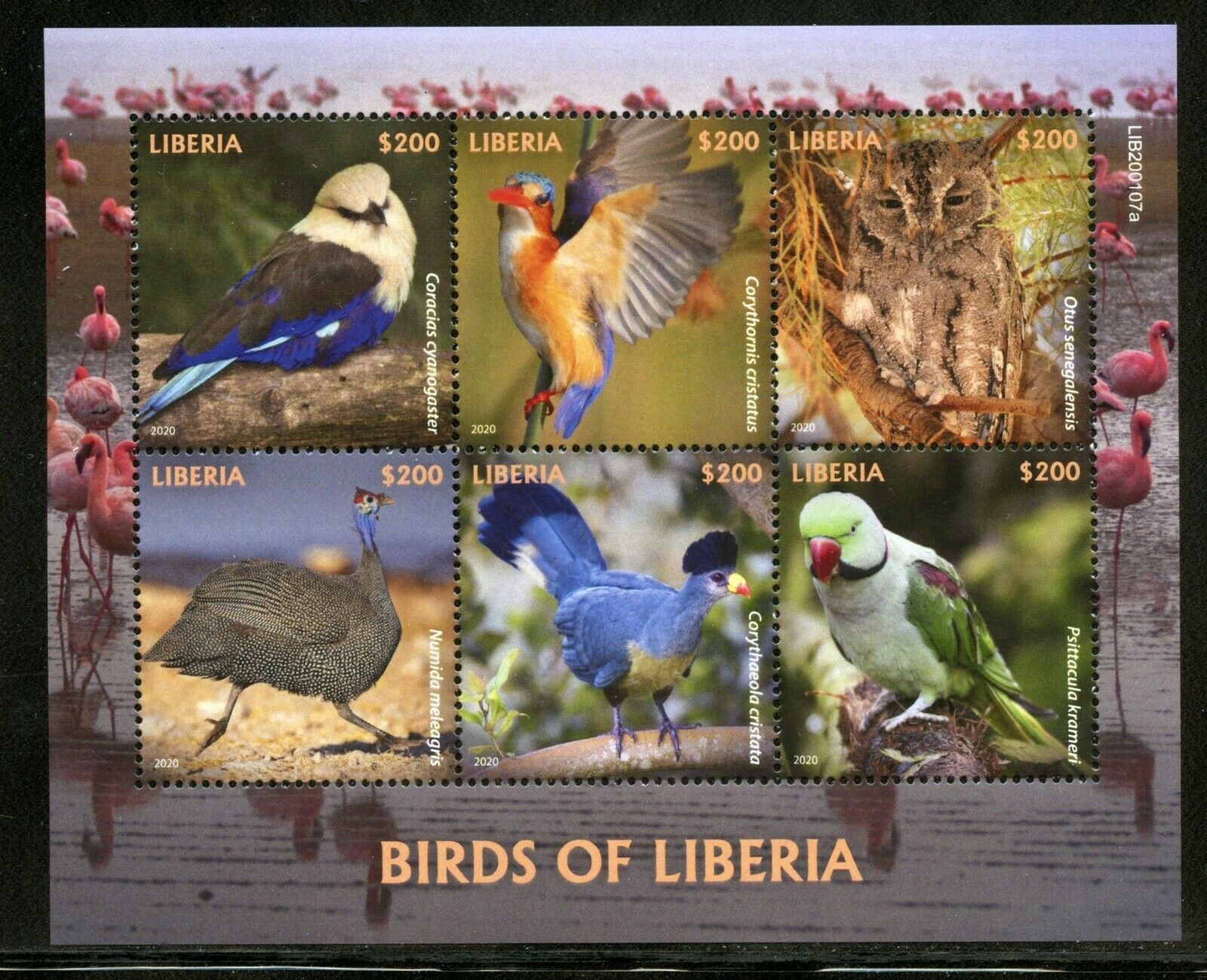 Liberia 2020 Birds of Liberia Sheet Mint NH | Africa - Liberia, Stamp ...