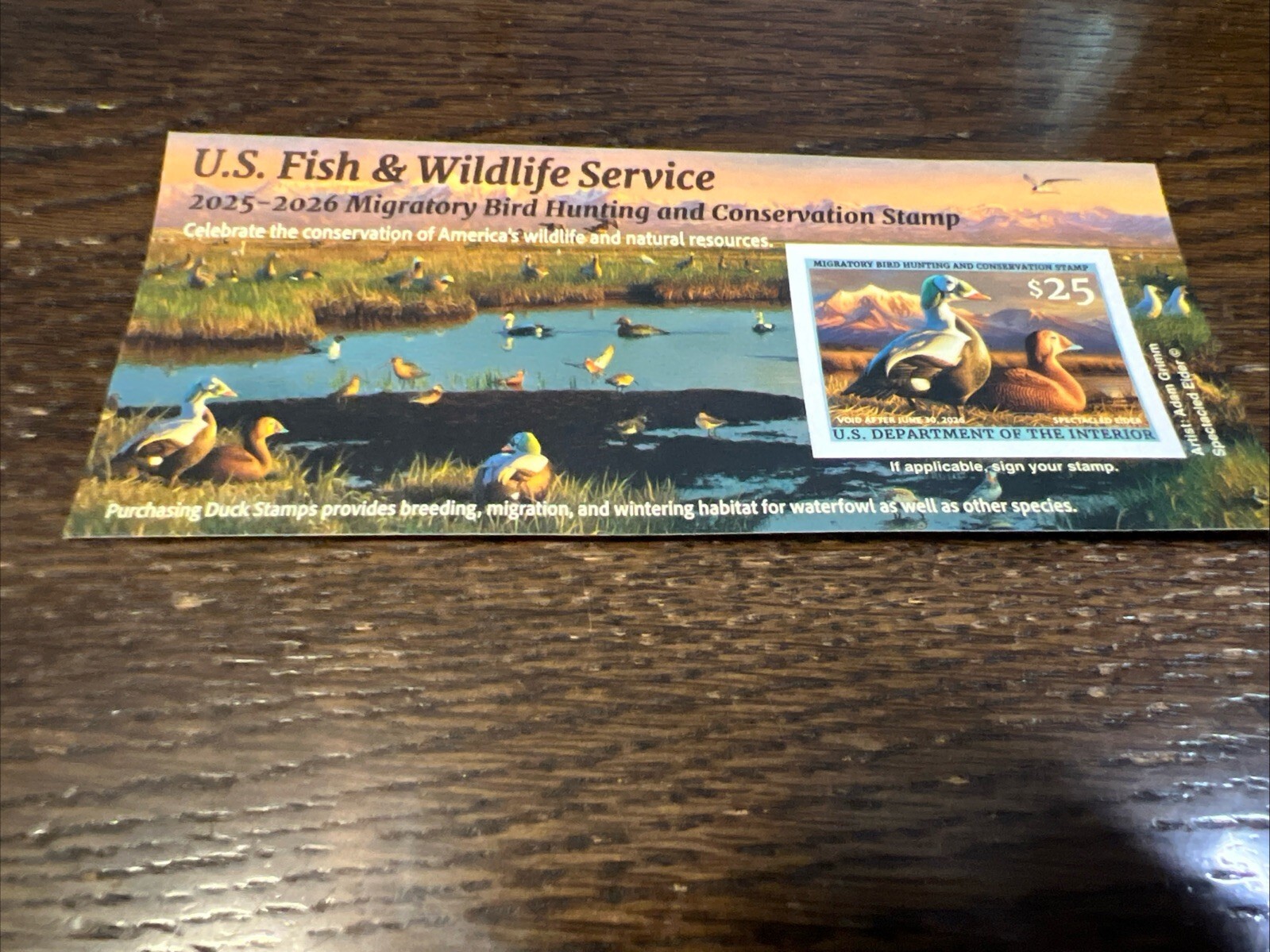 #RW92A 2025 -2026 Federal Duck Stamp - Spectacled Elder - MNH | United ...