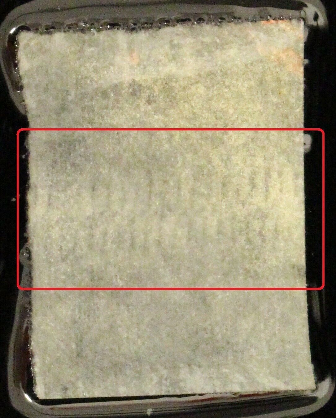 United States #7 Used Stitch Watermark | United States, General Issue ...