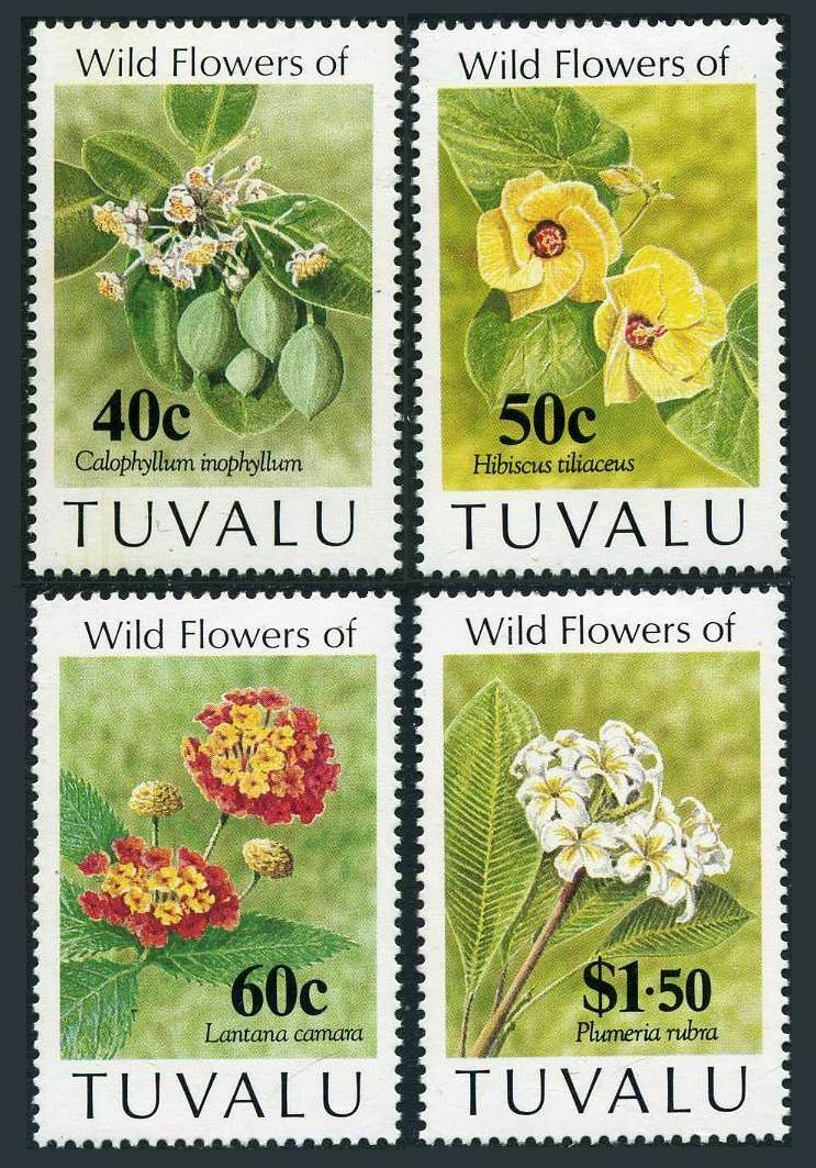 Tuvalu 625-628,MNH.Michel 650-653. Wild Flowers 1993. | Australia ...