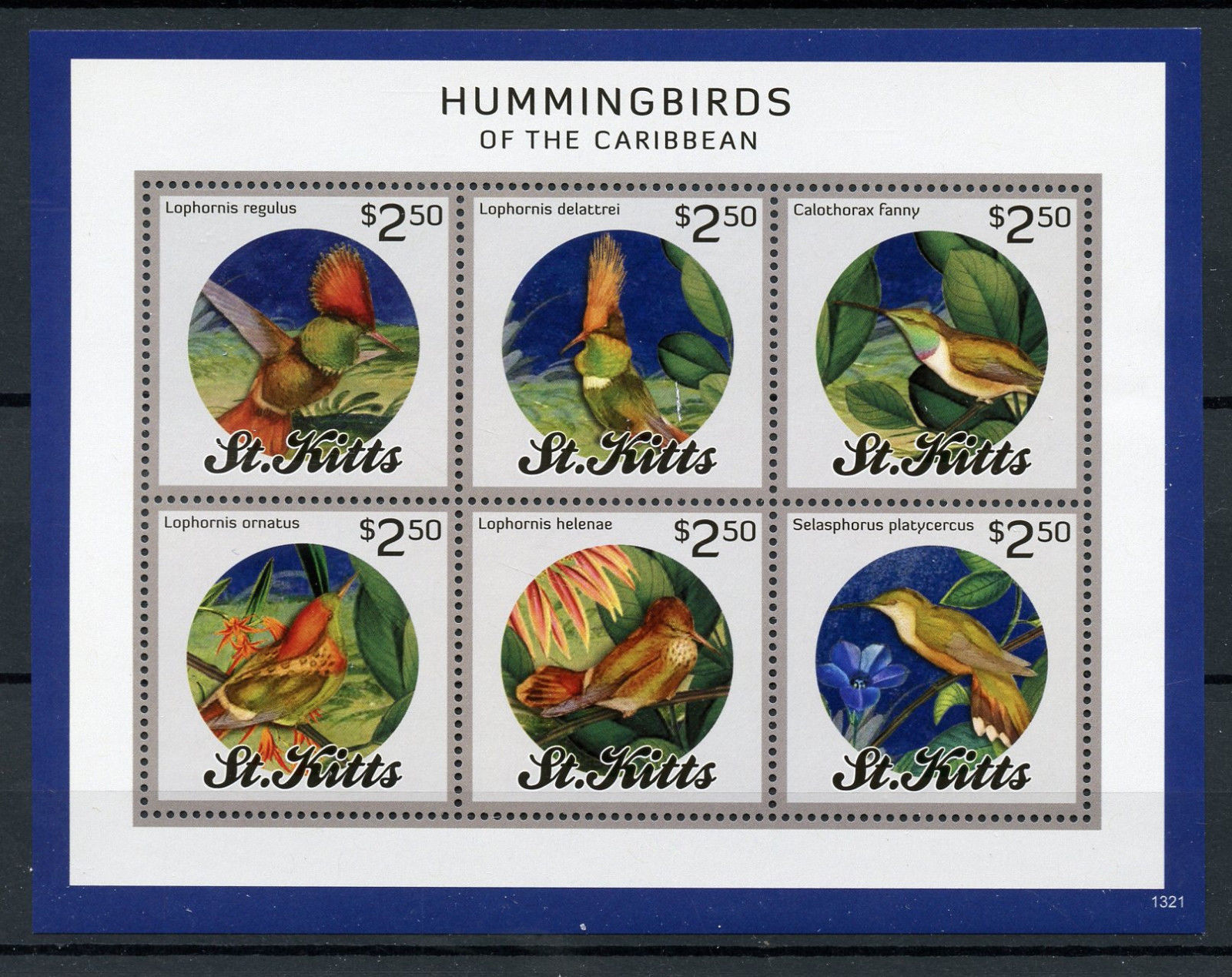 St Kitts Birds on Stamps 2013 MNH Hummingbirds of Carribean Hummingbird ...