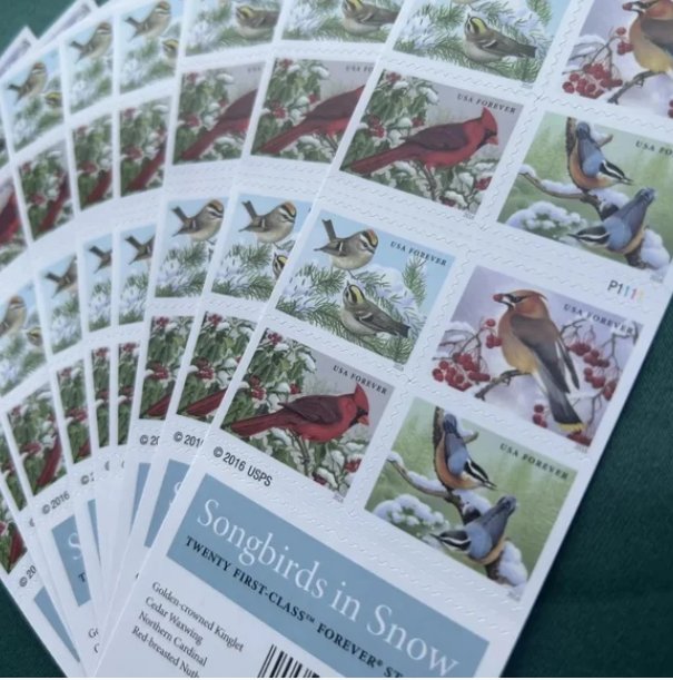 1000 Songbirds in Snow Forever Postage Stamps US Postal USPS Wedding ...