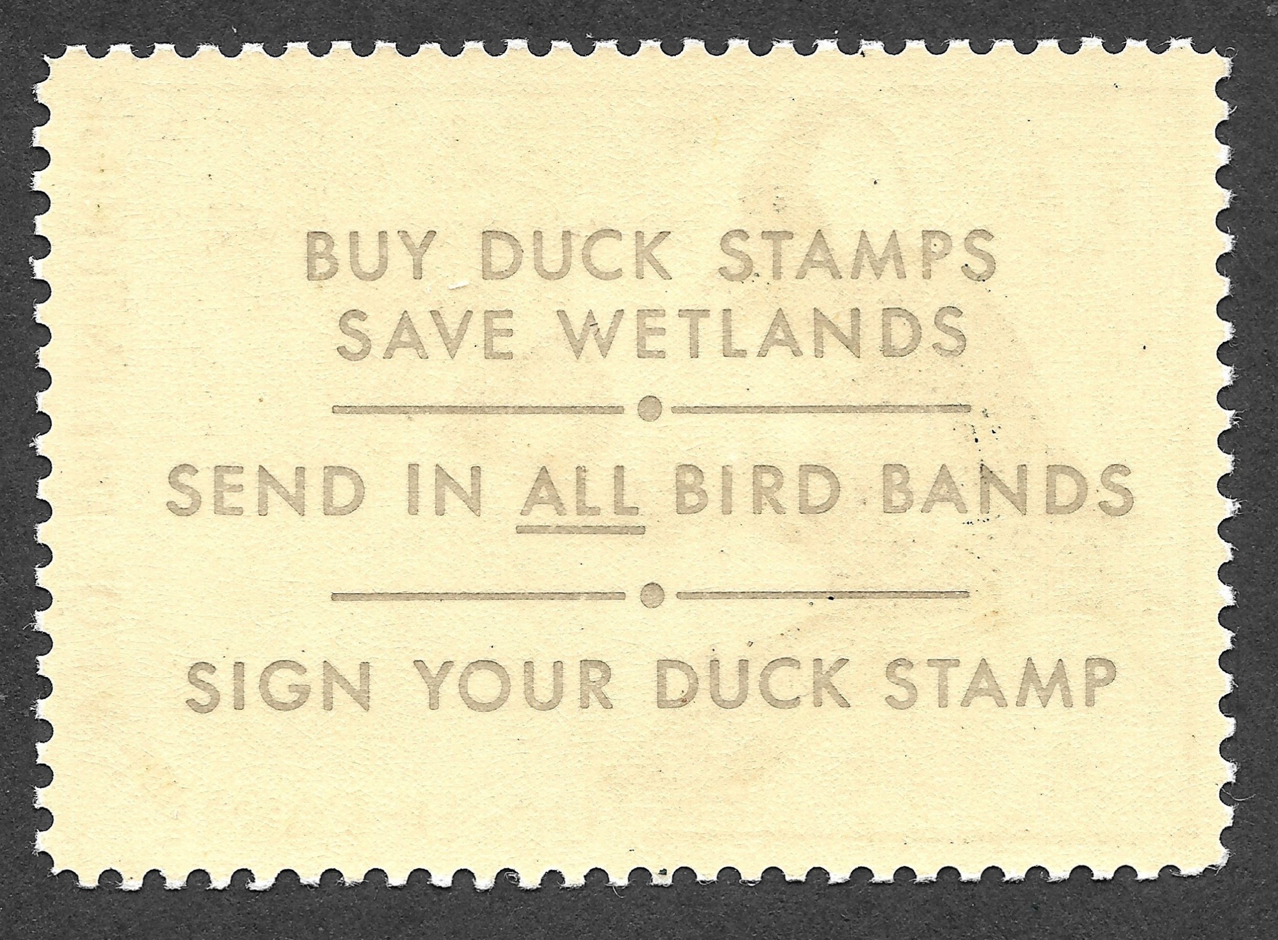 MNH 1968 Scott #RW35** Federal Duck Stamp | United States, Duck Stamps ...
