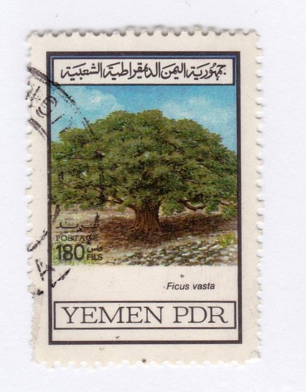Yemen PDR 259 used | Middle East - Yemen, Air Mail Stamp / HipStamp