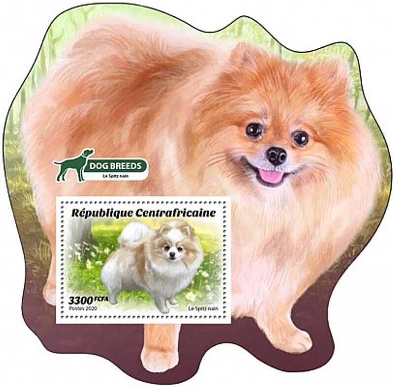 Central Africa - 2020 Pomeranian Dog Breed - Stamp Souvenir Sheet ...