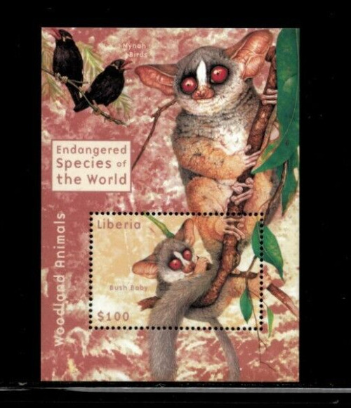 Liberia 2001 - Wild Animals - Souvenir Stamp Sheet - MNH | Africa ...
