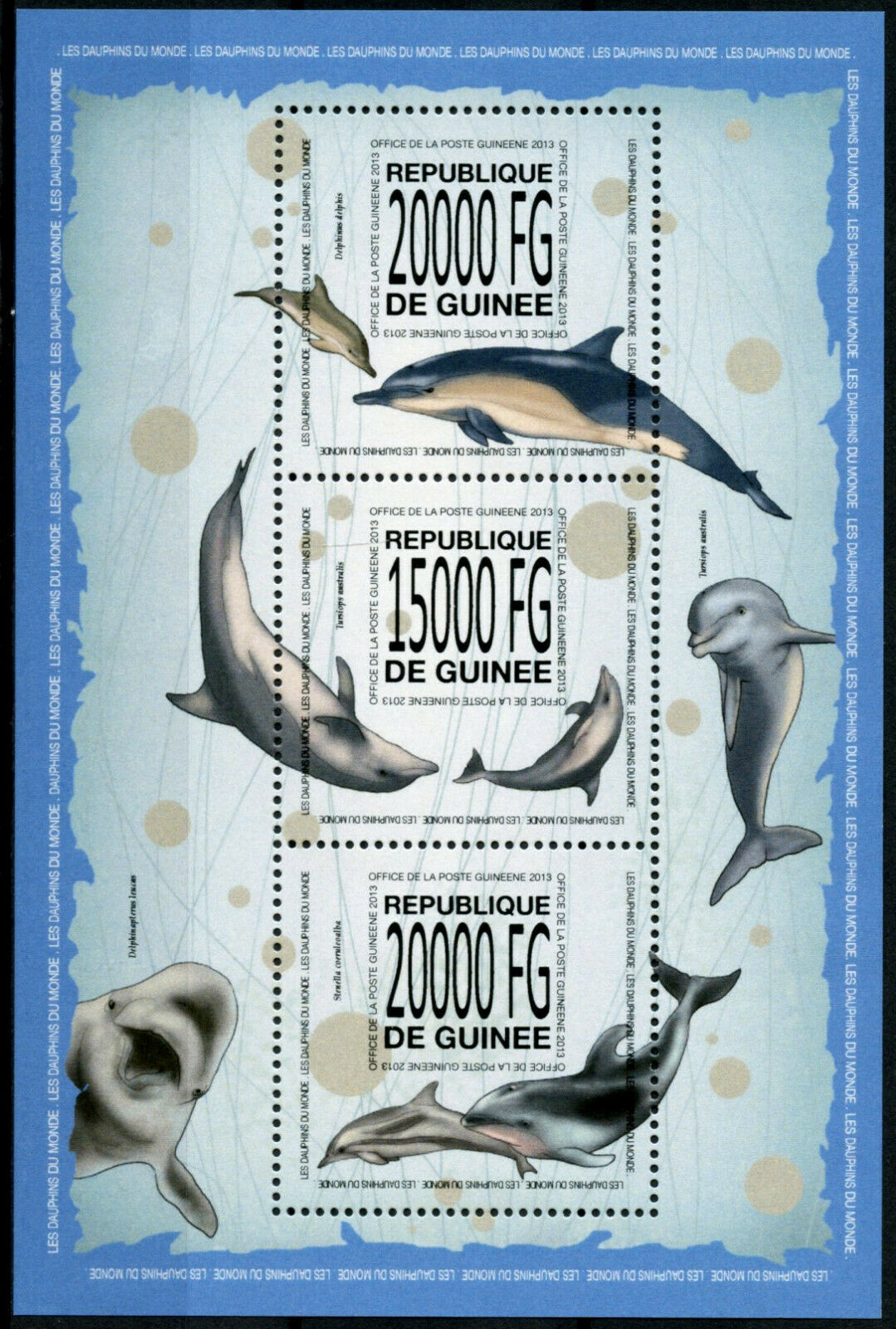 Guinea Marine Animals Stamps 2013 MNH Dolphins Short-Beaked Dolphin 3v ...