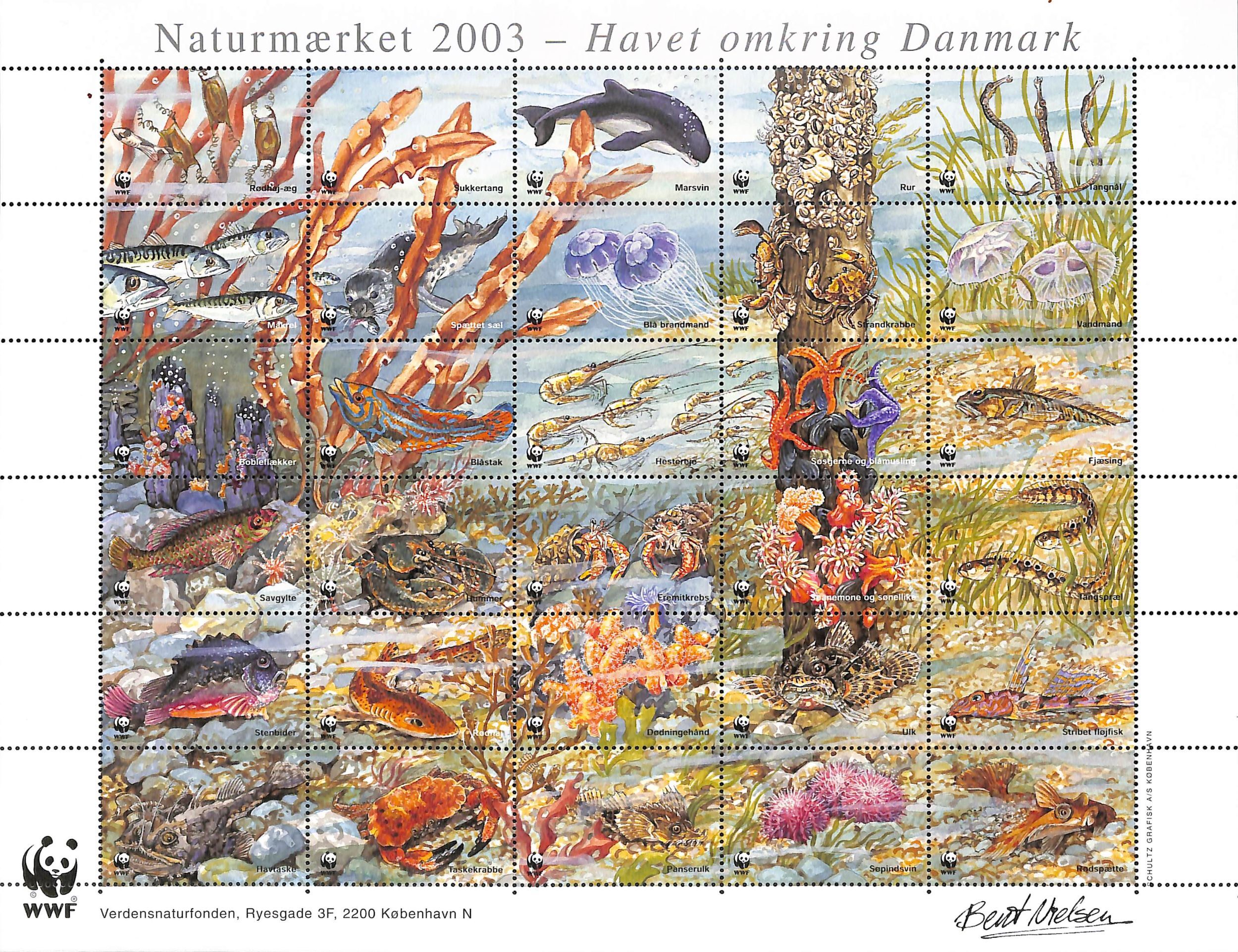 Denmark Danmark WWF Poster stamps seals Protected Wildlife marine life ...