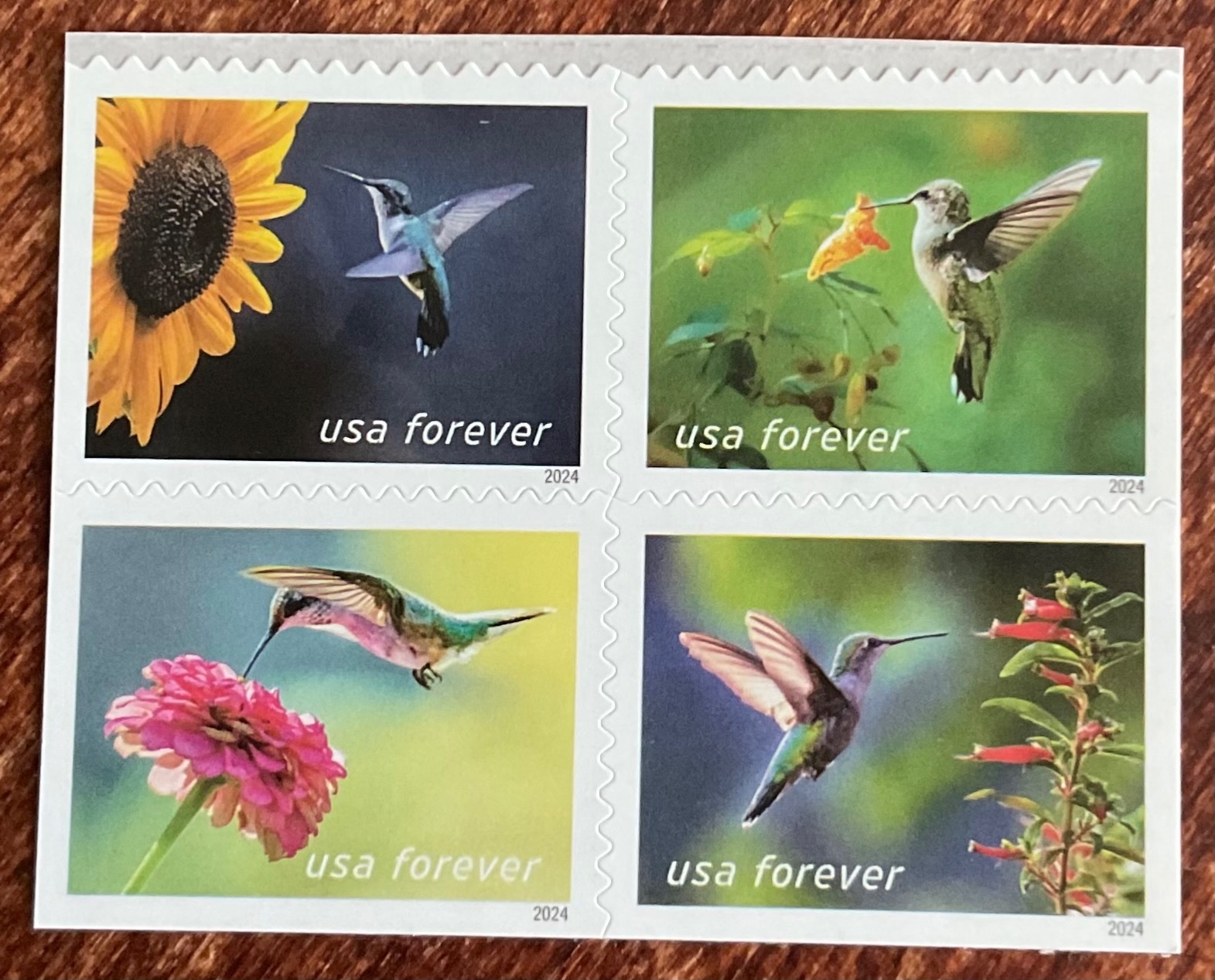 US #5845-5848 MNH Booklet Block of 4 Garden Delights Hummingbirds (.68 ...