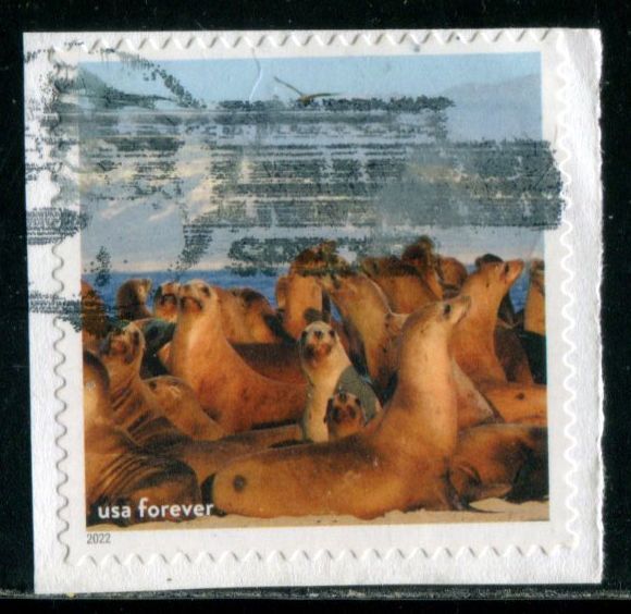 5713m US (60c) National Marine Sanctuaries - Sea Lions SA, used ...