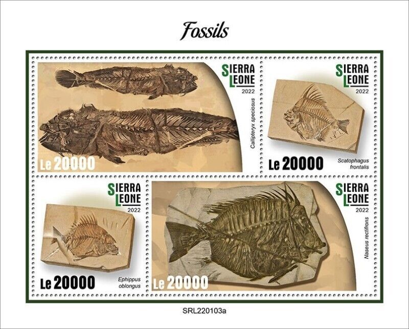 Sierra Leone - 2022 Fossils, Ray-finned, Surgeonfish - 4 Stamp Sheet ...