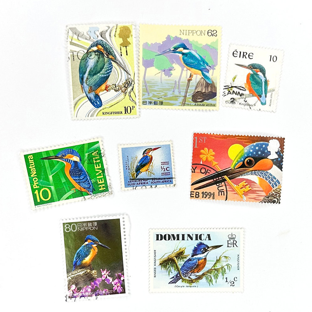 8 x Kingfisher postage stamps - all different, from 6 countries, off ...
