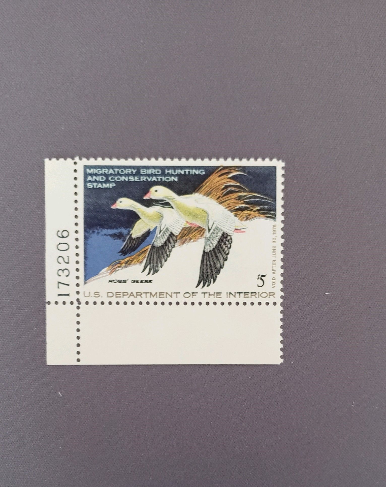 RW44, Pair of Ross' Geese, Mint OGNH VF-XF w/plate #, CV $40.00 ...