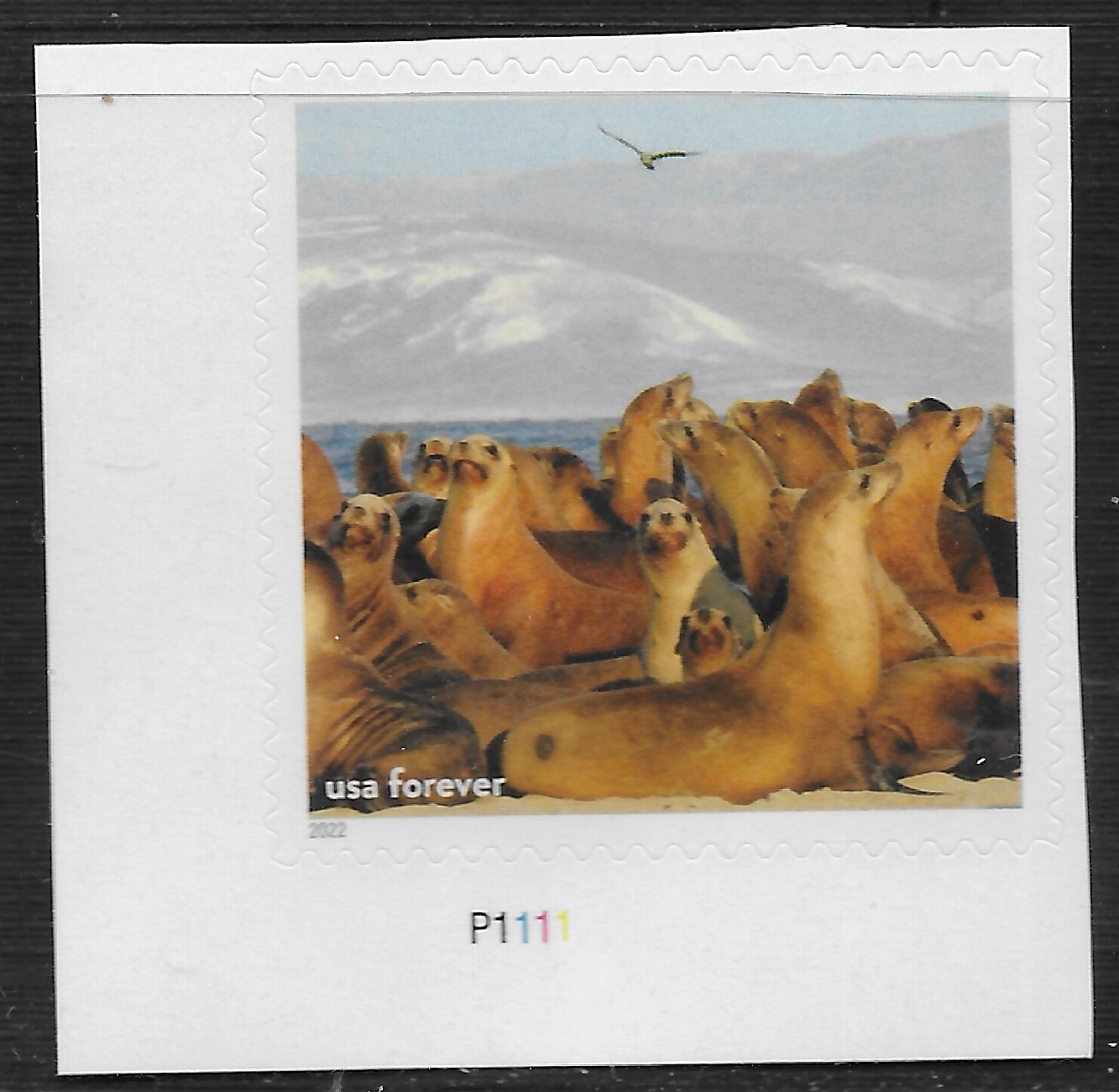 US #5713m (60c) National Marine Sanctuaries - Sea Lions ~ MNH | United ...