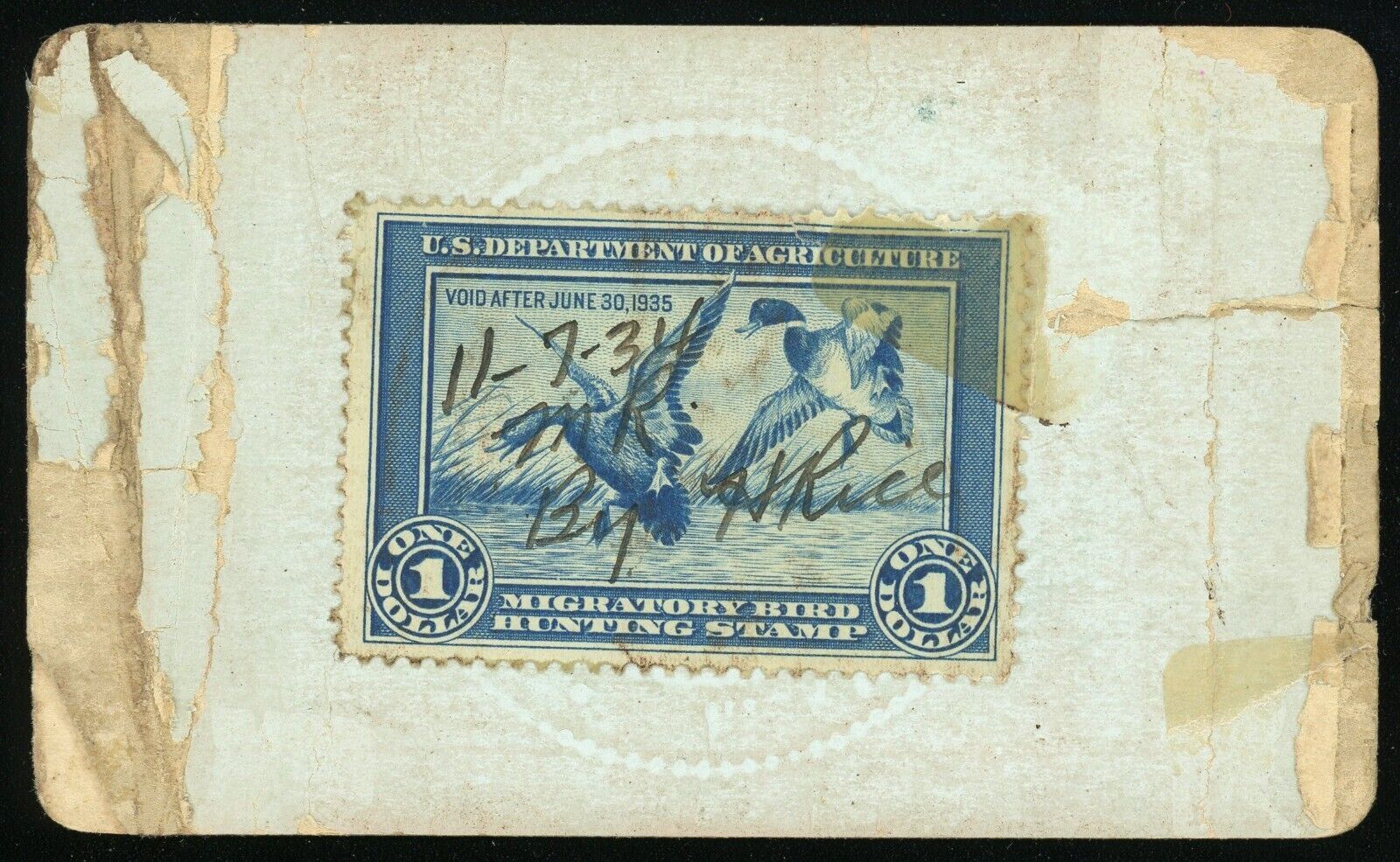 USA #RW1 Migratory Bird Hunting $1 Stamp w License 1931 Hickman KY ...