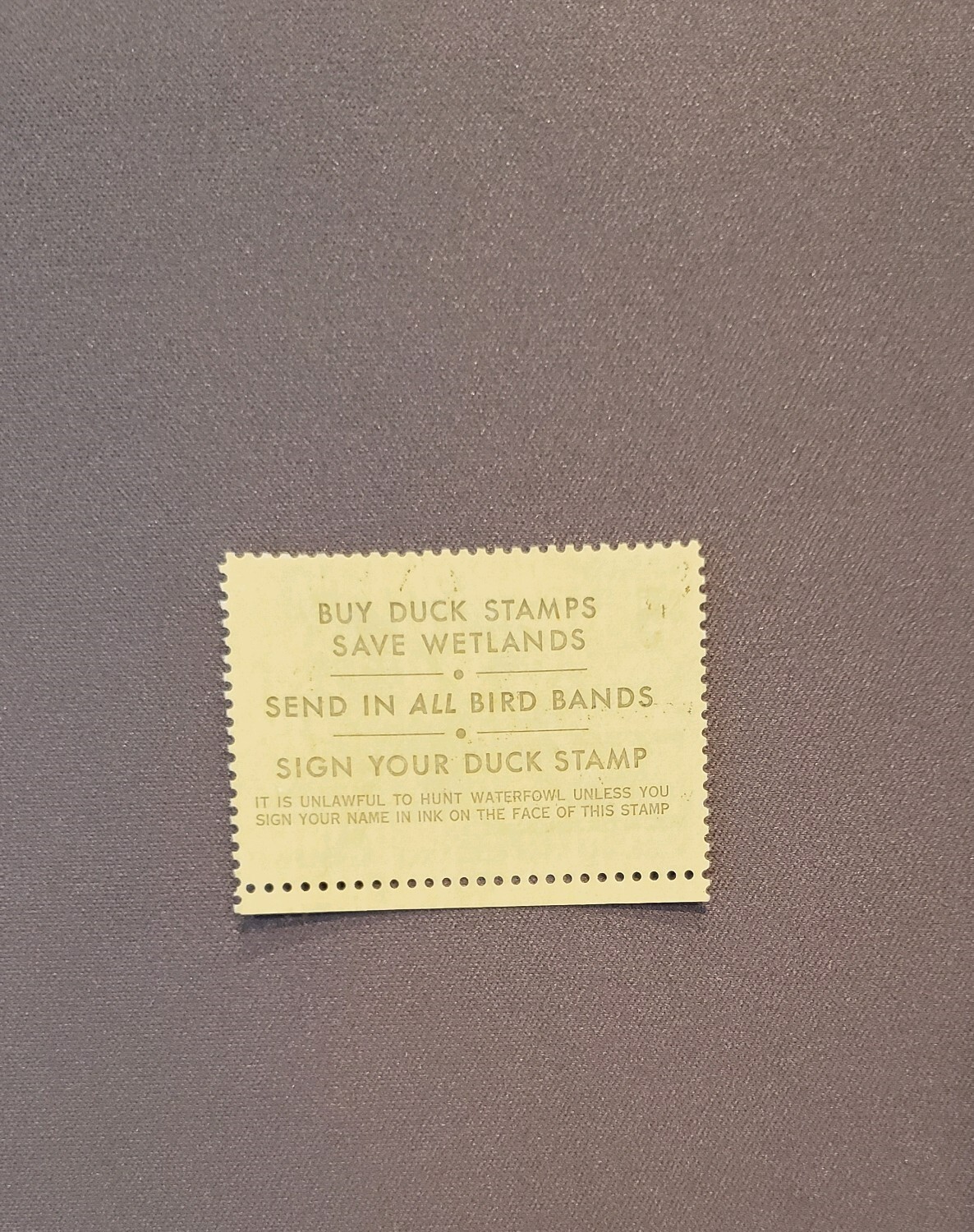 RW41, Wood Ducks, Mint OGNH, VF-XF, CV $40.00 | United States, Duck ...