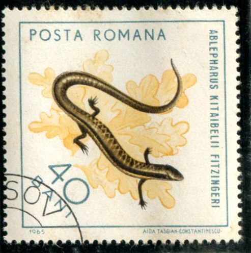 1719-1727 Romania Reptiles & Amphibians, CTO set of 7 | Europe ...