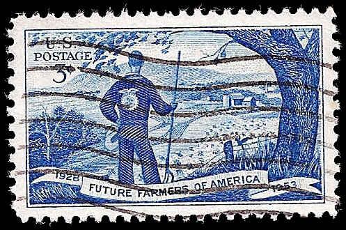 # 1024 Used Future Farmers of America | United States, General Issue ...