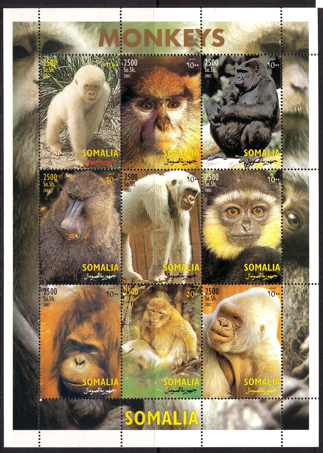 Somalia 2002 Monkeys Wild Animals Animaux Sauvages Wilde Tiere ...