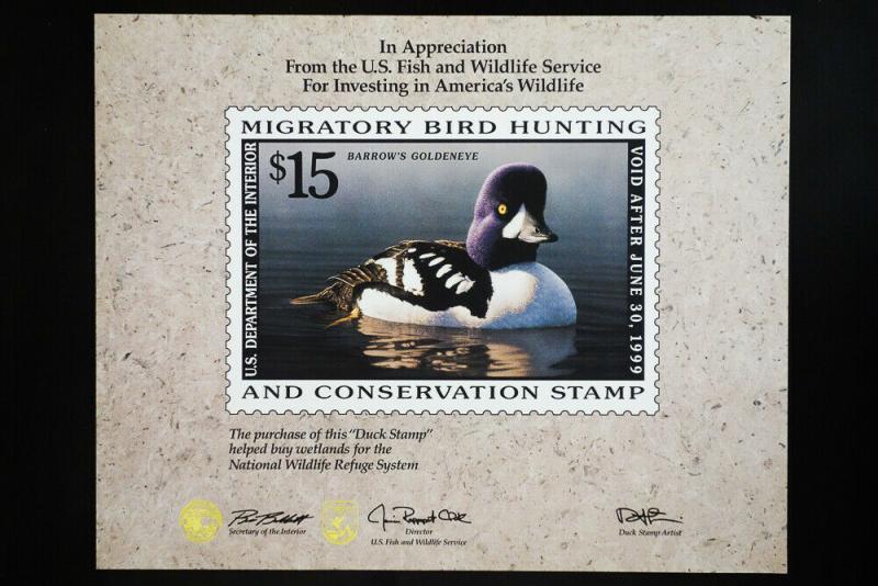 US Federal Duck Stamp Collection | United States, Stamp / HipStamp