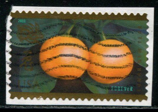 4492 US (44c) Year of the Rabbit SA, used on paper | United States ...