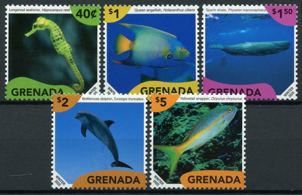 Grenada Marine Life Stamps 2020 MNH Definitives Fish Seahorses Dolphins ...